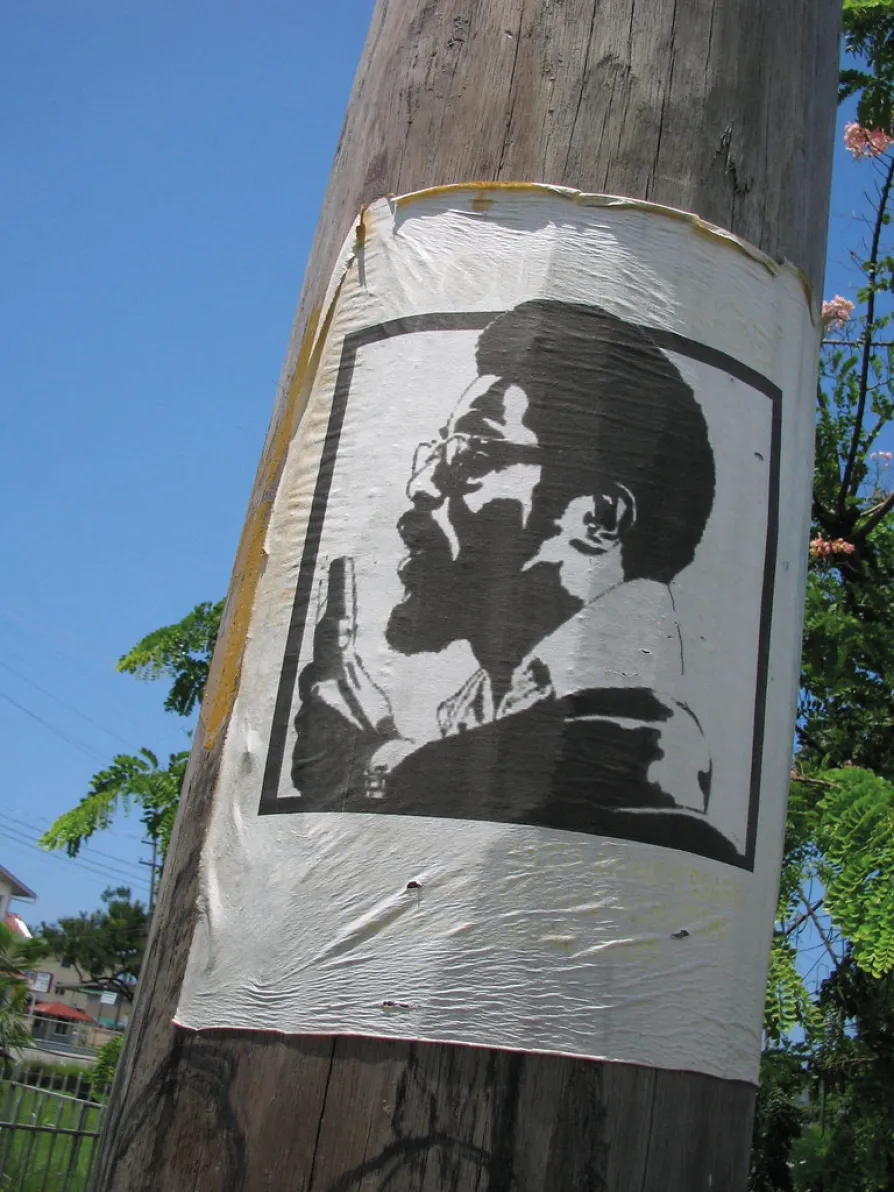 Walter Rodney: the revolutionary who explained African exploitation ...